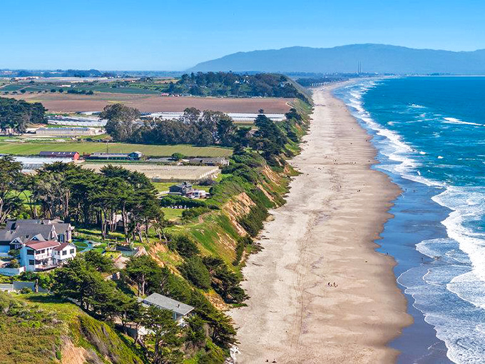 Those La Selva Beach homes perched on the bluff are selling ocean views by the million-dollar eyeful. Worth. Every. Penny.