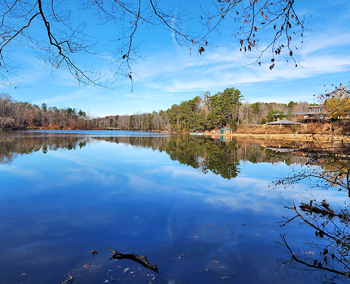Find your peaceful place where water meets sky. Lake Norman State Park offers a liquid escape from everyday chaos.
