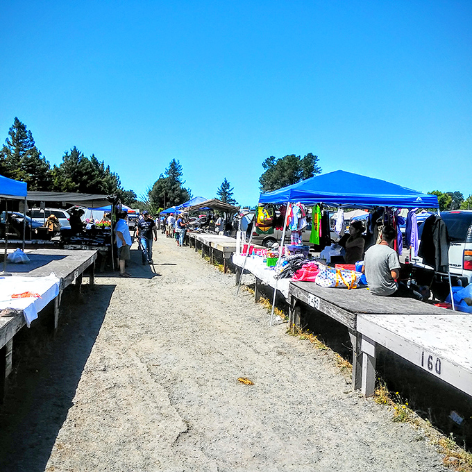 Midgley's outdoor stalls line up like soldiers. Simple tables hold complex treasures waiting for the right shopper.