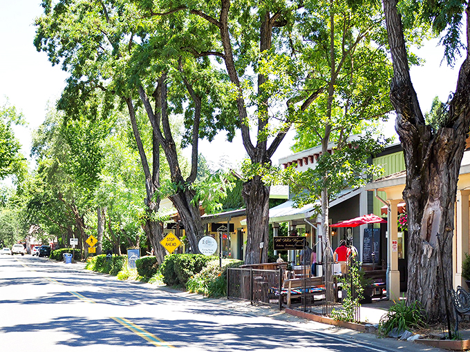 The historic Murphys Hotel stands as the centerpiece of this well-preserved mining town, its balconies overlooking a street once filled with gold seekers.
