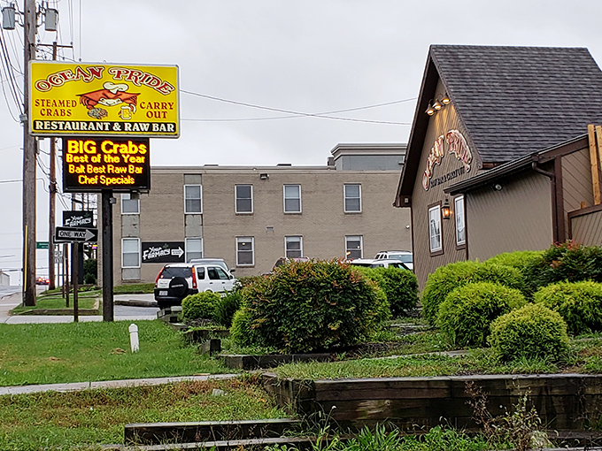Don't let the modest roadside appearance fool you. Ocean Pride's yellow sign is like a bat signal for crab lovers across Baltimore County.