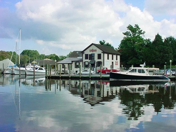 The marina at Onancock offers that perfect blend of working waterfront and vacation vibes that makes you want to linger.