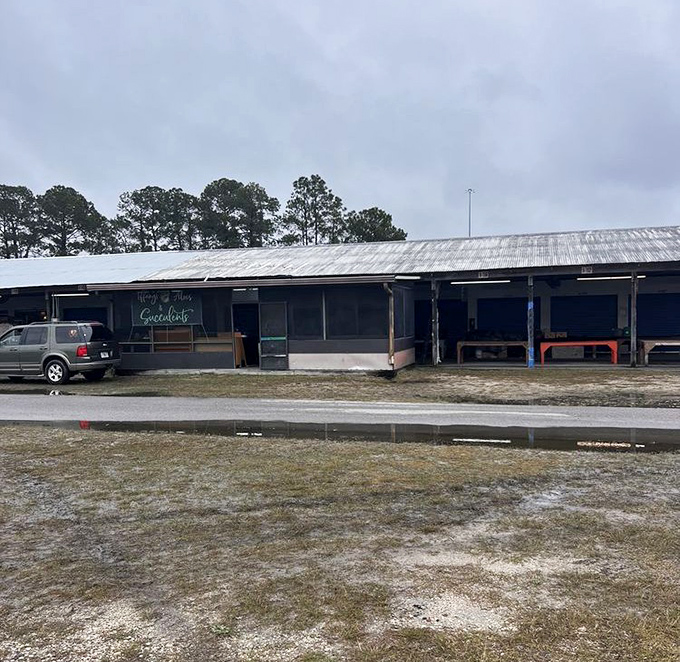 Rustic retail therapy! Pecan Park's simple structures house complex treasures, proving that sometimes the best shopping experiences come in unassuming packages.