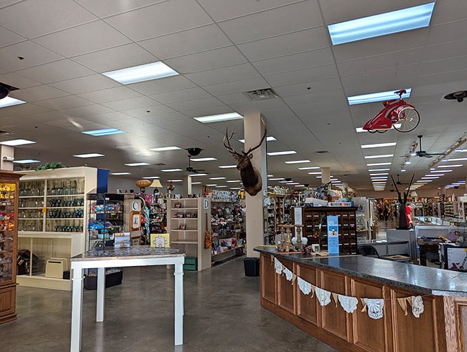 Professional displays showcase antiques like precious gems in a friendly museum setting. 