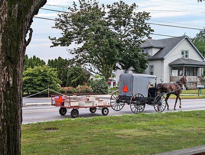 Classic Americana with a twist. Ronks offers charming homes alongside glimpses of a simpler way of life.