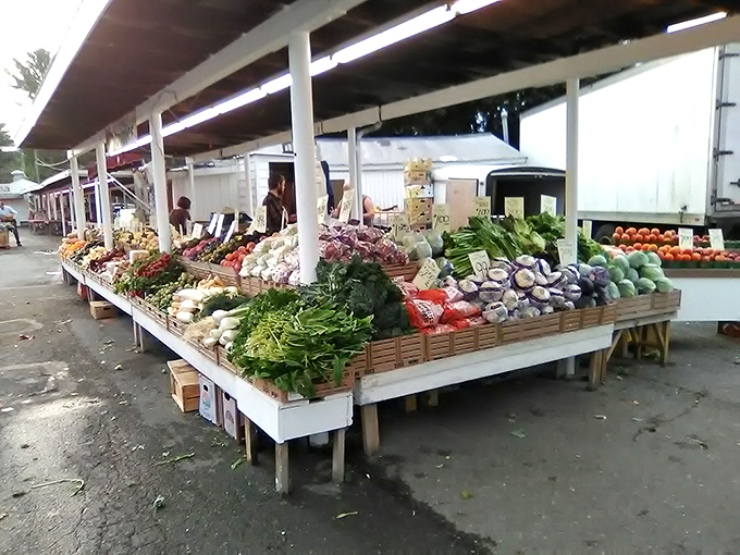 Rural retail therapy! Roots Country Market's rustic charm extends outdoors where vendors display treasures against barn-red backdrops.