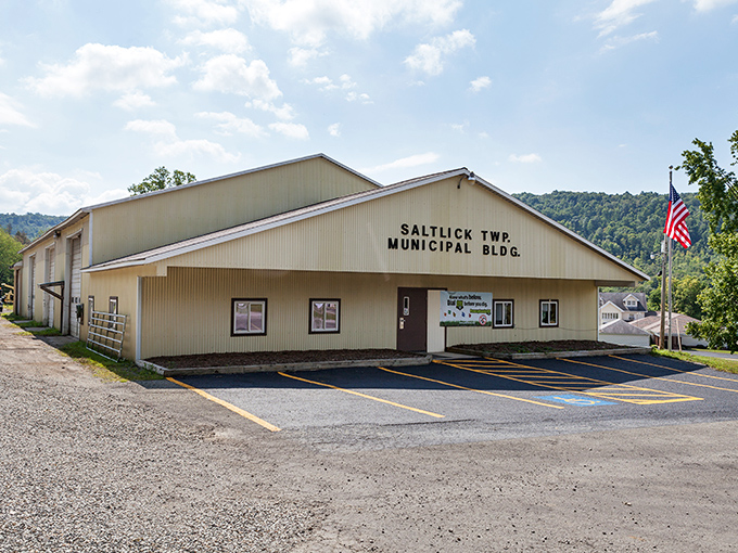 This Saltlick street proves that paradise doesn't need traffic lights, just neighbors who know when to yield.