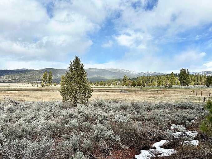 Multiple pools offer different temperatures and experiences at this friendly, family-like mountain resort.