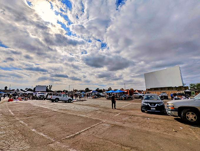 "Did we bring enough popcorn?" Family movie night goes supersized at South Bay's expansive outdoor theater.