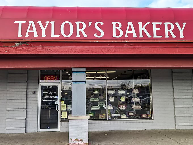 Through the window of Taylor's Bakery lies a world of donut possibilities that have stood the test of time.
