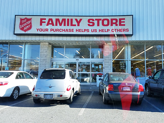 Behind that iconic red shield lies a labyrinth of potential treasures. Like archaeological exploration without the dirt, every aisle offers the possibility of discovery!