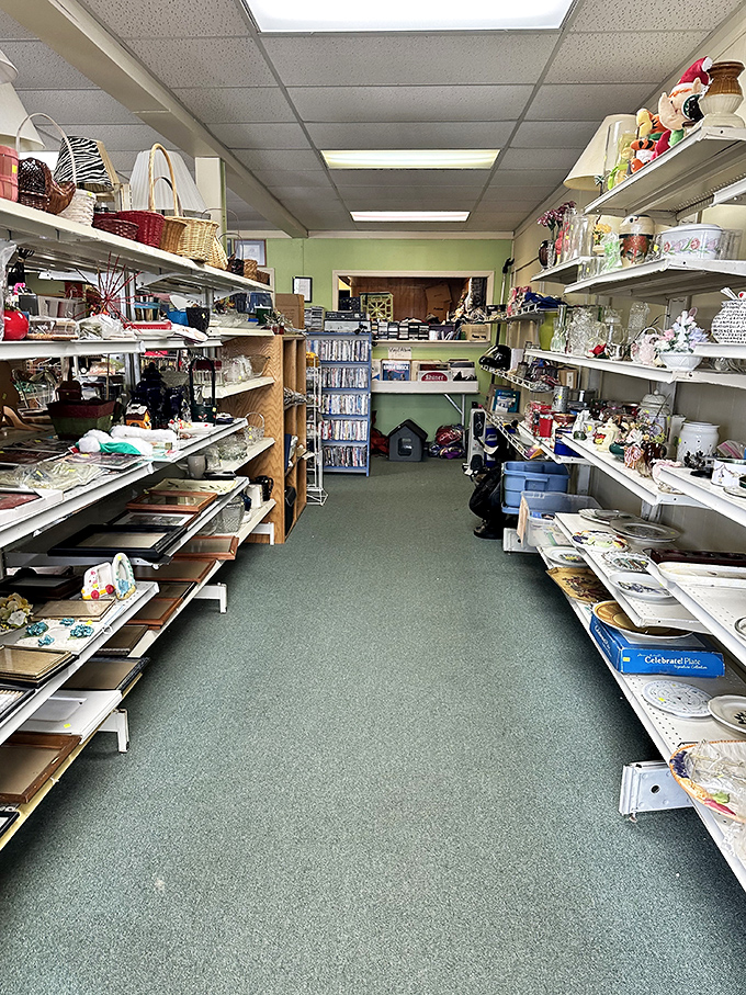 Shelves packed with possibility. This N That's organized chaos creates the perfect treasure hunting experience.