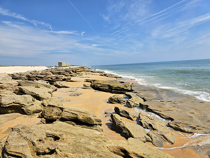 Sandy pathway to serenity! This beach trail at Washington Oaks Gardens leads to coquina rock formations that look like nature's abstract sculptures.