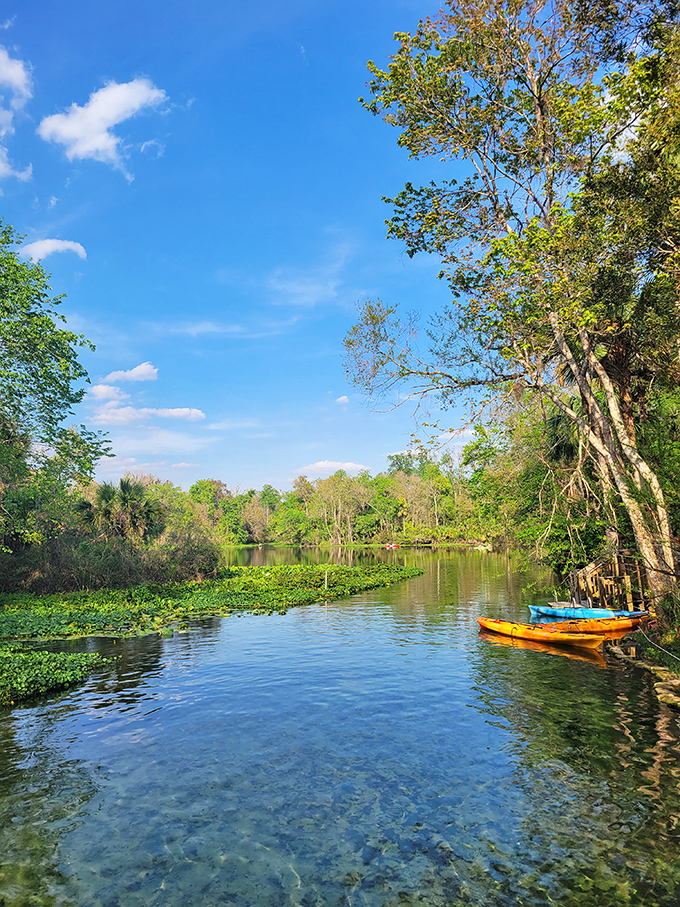 That's not Photoshop &ndash; Wekiwa's waters really are this impossibly clear, just minutes from Orlando's theme park madness.