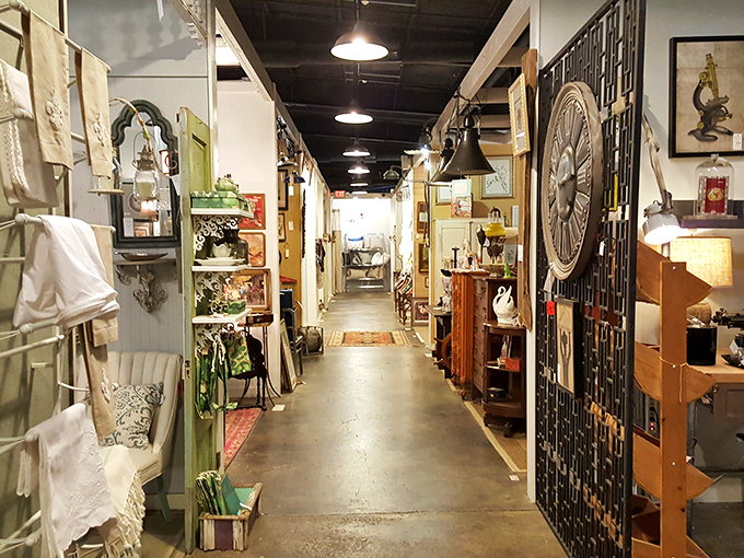 The thrill of the hunt captured in one shot&mdash;these corridors of curiosities promise treasures for those patient enough to explore.