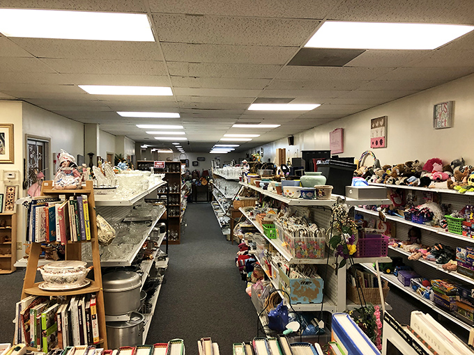 Aisles of possibilities stretch toward infinity, each turn revealing new categories of affordable treasures.