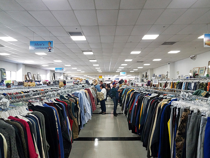 The well-organized aisles make treasure hunting less daunting. Even Indiana Jones would appreciate this level of archaeological assistance.