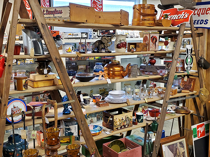 An old wooden ladder transformed into the ultimate display of vintage Americana. Every shelf holds potential heirlooms waiting for their next chapter.