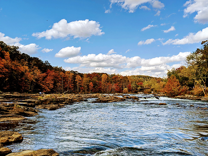 Fall's fiery display frames the Youghiogheny River like nature's own Instagram filter. No photo editing required when Mother Nature does the decorating.