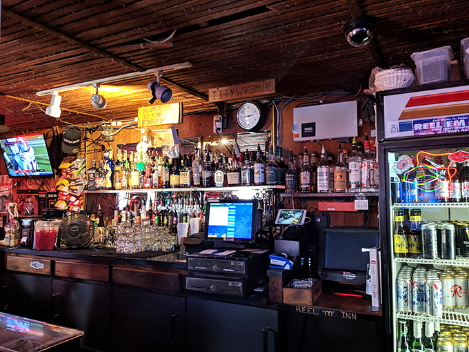 Behind every great dive bar is a great bartender and a wall of bottles promising liquid courage and good conversation.