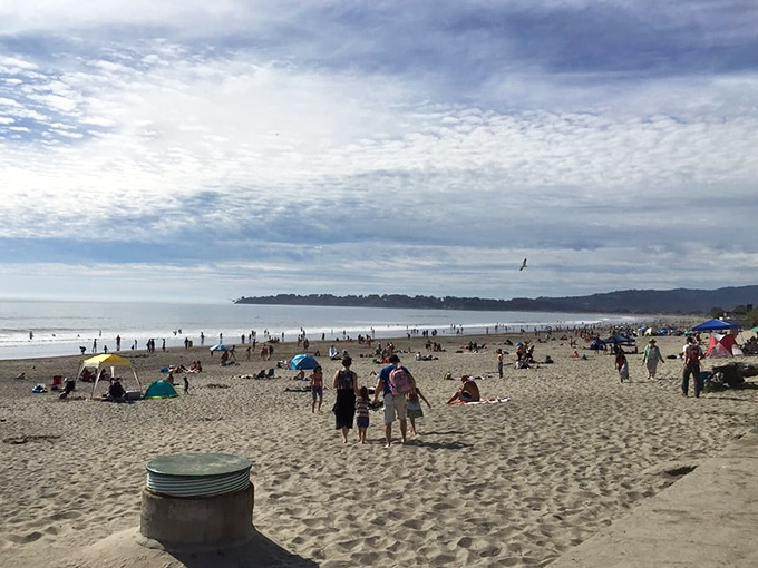 A perfect day at Stinson when "social distancing" just means finding your own patch of paradise.