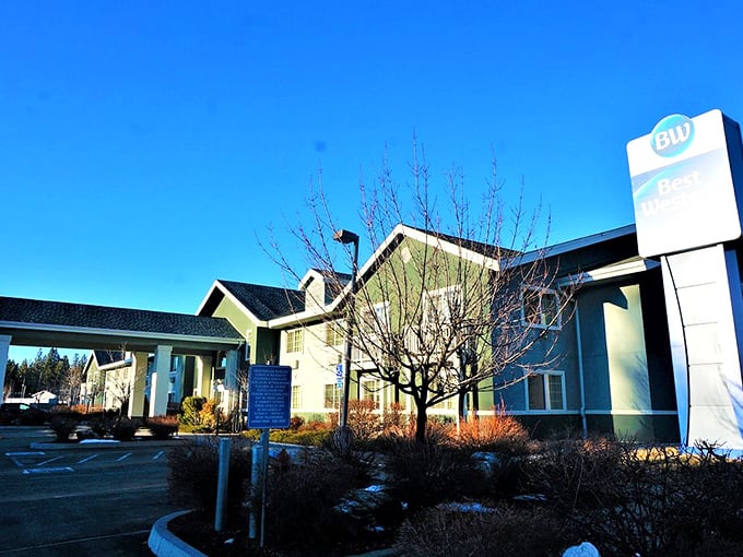 The Best Western offers comfort without coastal price tags. Where "budget accommodations" doesn't mean sacrificing that good night's sleep you deserve.