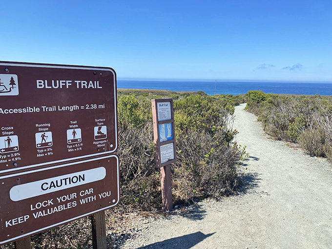 The sign says "Bluff Trail," but it should read "Shortcut to Paradise." Just 2.38 miles of pure coastal magic awaits.