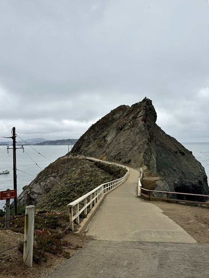The path to enlightenment isn't always spiritual. Sometimes it's just a winding trail along a cliff edge with surprisingly sturdy guardrails.