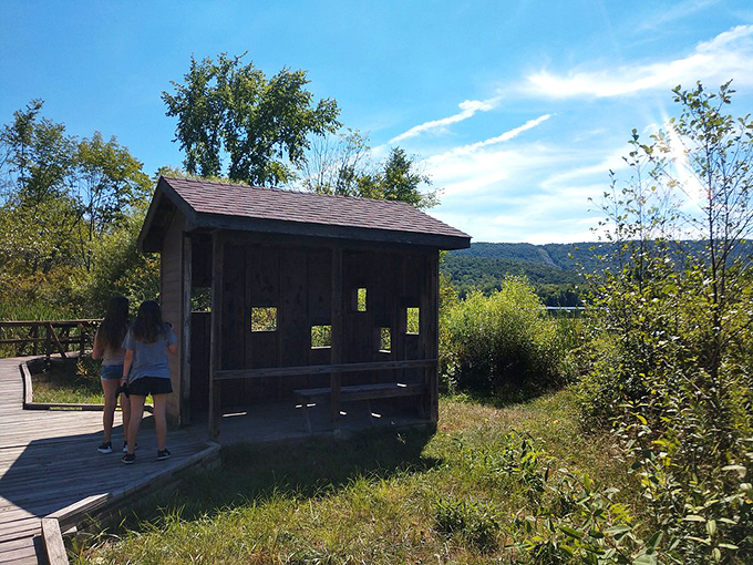 Nature's observation deck where conversations flow as freely as the breeze. This wooden shelter frames the landscape like a living painting.