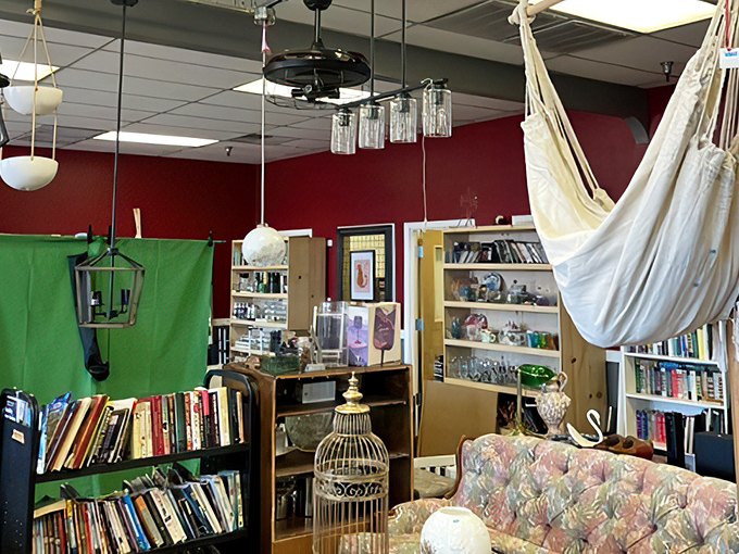 The book section&mdash;where literary treasures and forgotten bestsellers coexist under the watchful gaze of a hanging hammock chair.