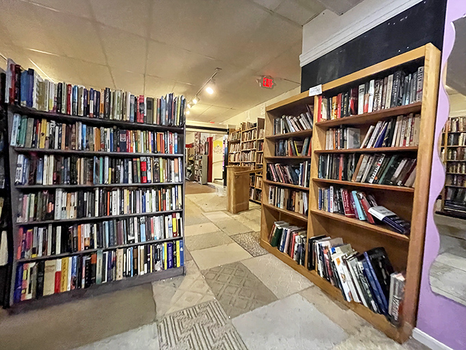 Floor-to-ceiling literary chaos where bestsellers mingle with books you never knew existed.