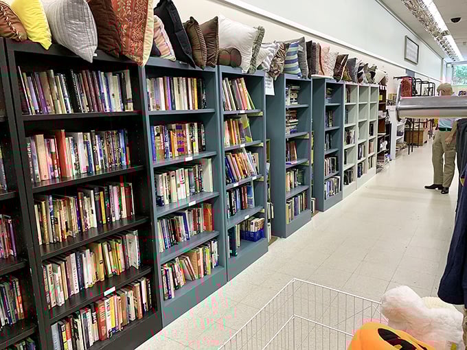 Bookworms, prepare to lose track of time—these shelves hold more affordable adventures than a travel agency during a flash sale.