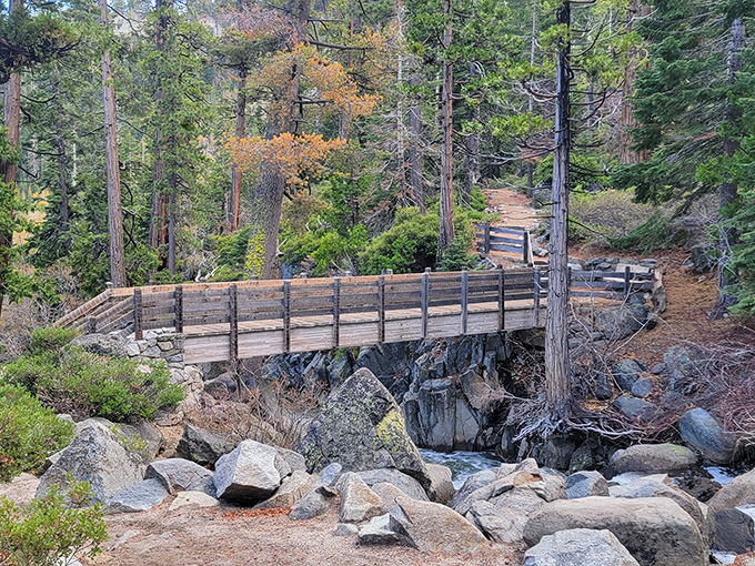 This rustic wooden bridge seems to whisper, "Cross me if you dare." The adventure on the other side is worth every creaky step.
