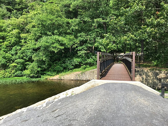 A bridge to somewhere wonderful. Cross over to the quieter side of life, where footsteps on wooden planks create nature's perfect percussion.