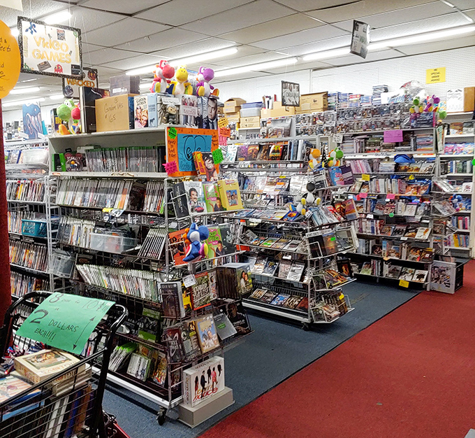 Physical media lives on! This treasure trove of CDs and DVDs reminds us that streaming can't replicate the joy of actually owning your entertainment. 