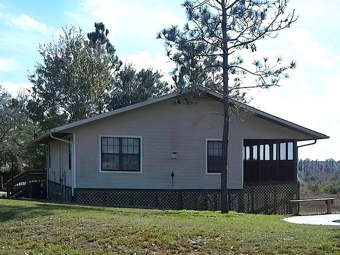 These cabins prove "roughing it" can include air conditioning. Rustic charm meets modern comfort at Lake Louisa's lakeside accommodations.