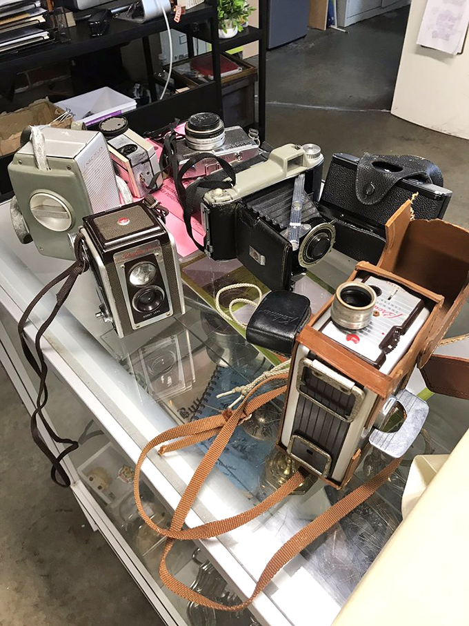 Vintage cameras that captured someone else's memories now wait to document yours. Each one a mechanical time machine with stories to tell.