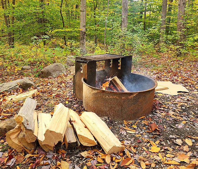 Primal satisfaction in its purest form: a crackling campfire surrounded by autumn's golden carpet. S'mores assembly area: population you.