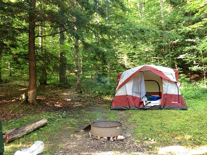 Camping here means falling asleep to nature's soundtrack instead of your neighbor's late-night television marathon habits.