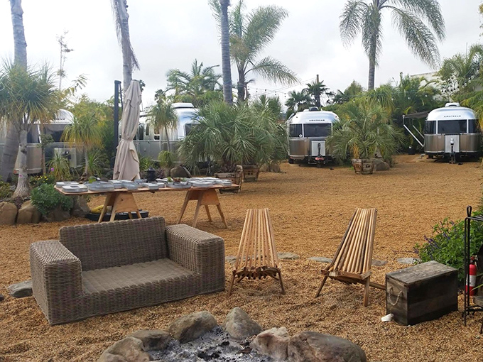 Caravan Outpost's Airstreams gleam like silver treasures among palm trees, proving camping doesn't have to mean sacrificing style or comfort.