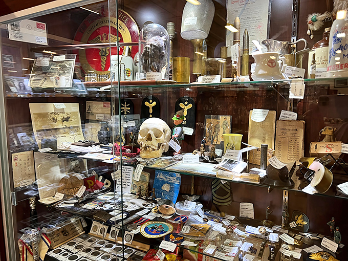 Medical oddities or scientific treasures? This glass case houses the kind of curiosities that spark dinner conversations for years to come.