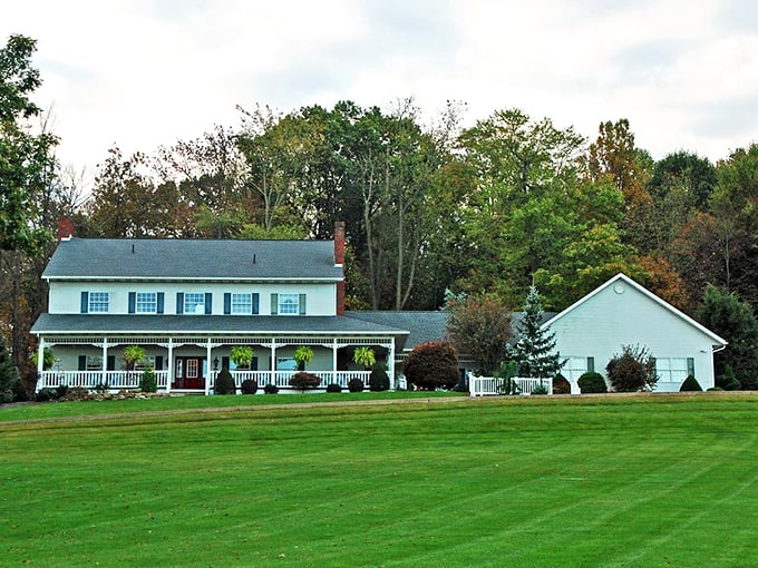 The Charm Country View Inn doesn't just offer rooms—it offers a front-row seat to the kind of pastoral perfection that landscape painters dream about.