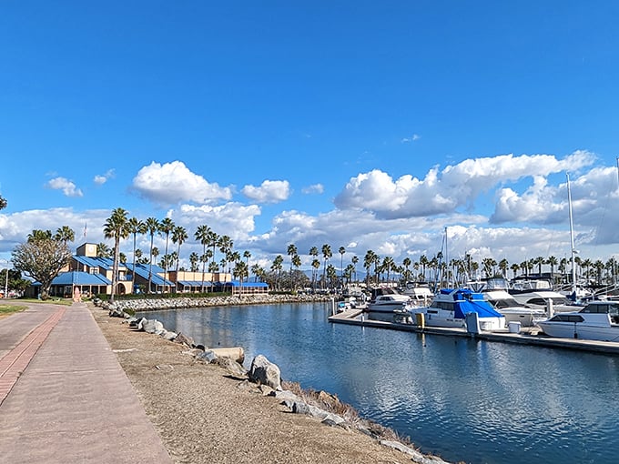 Boat envy guaranteed! Chula Vista Marina offers postcard-perfect views where palm trees stand at attention alongside vessels of all sizes.