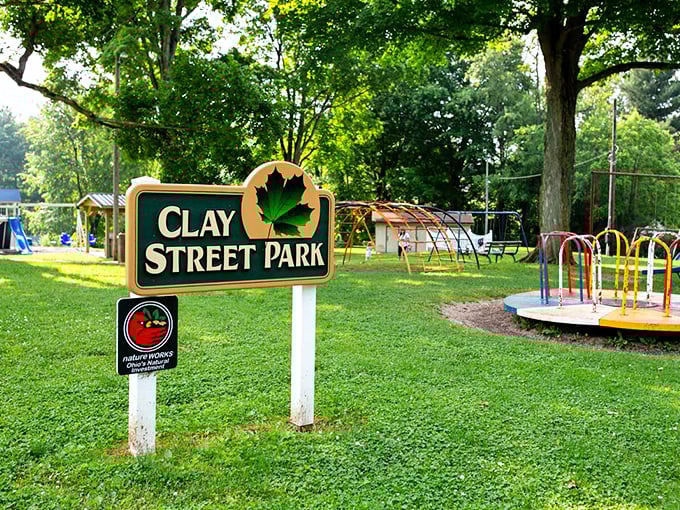 Clay Street Park offers old-school playground fun that reminds us kids were perfectly happy before screens. That merry-go-round spins with the energy of simpler times. 