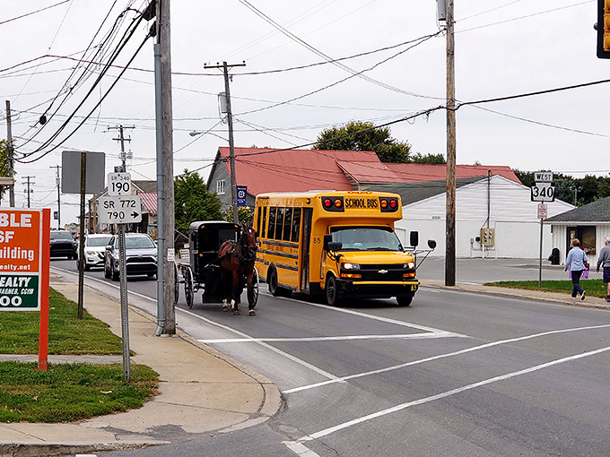 The juxtaposition says it all &ndash; a yellow school bus passes a horse and buggy, two educational systems existing side by side.