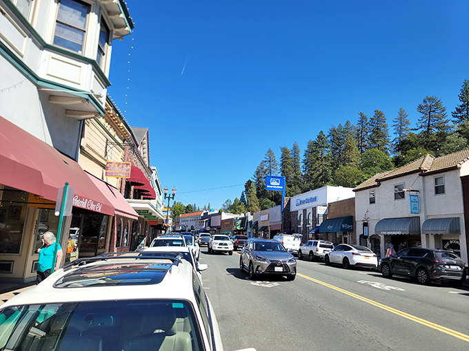 Placerville's commercial district buzzes with unhurried activity, where errands become opportunities for chance encounters with neighbors who become friends.