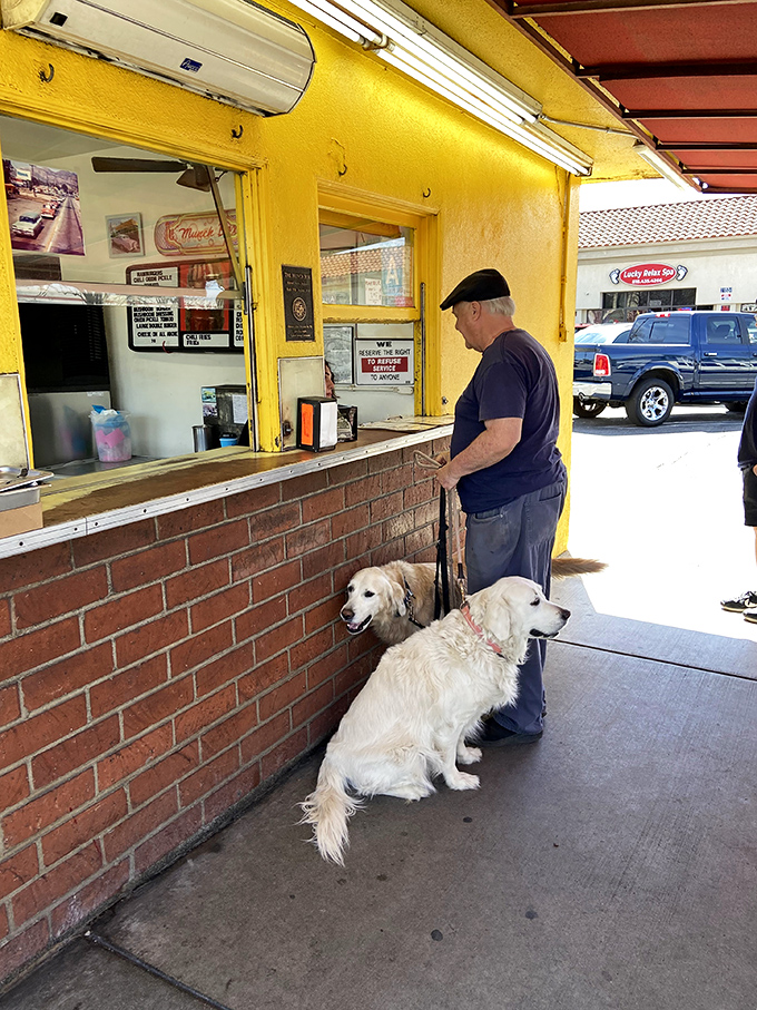 Even four-legged friends know where the good stuff is&mdash;patiently waiting while their human places an order at the hallowed counter.