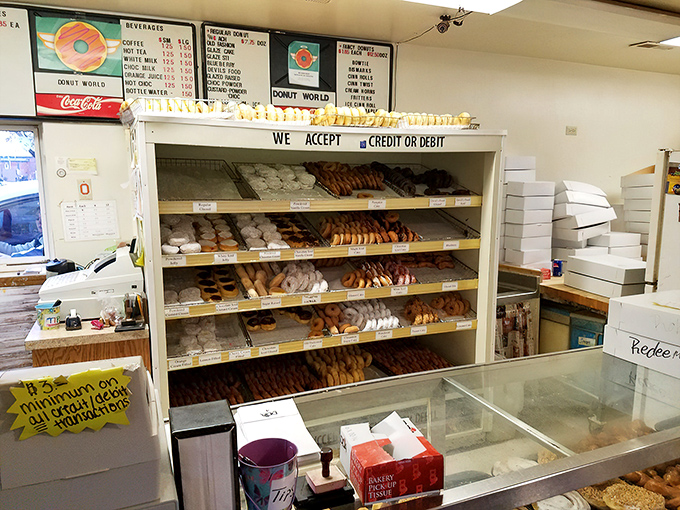 The display case at Donut World—where dreams are stacked in neat rows and difficult life decisions are made daily.