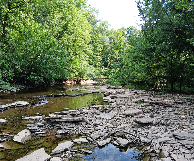 Creek beds carved by patient waters reveal nature's artistic side. Where geological time and human moments intersect beautifully.
