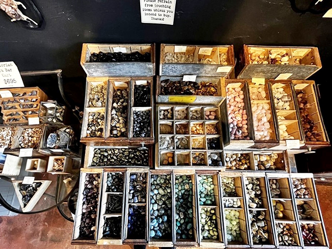 A geologist's dream and a collector's temptation. These meticulously organized mineral specimens showcase Earth's ability to create natural masterpieces.